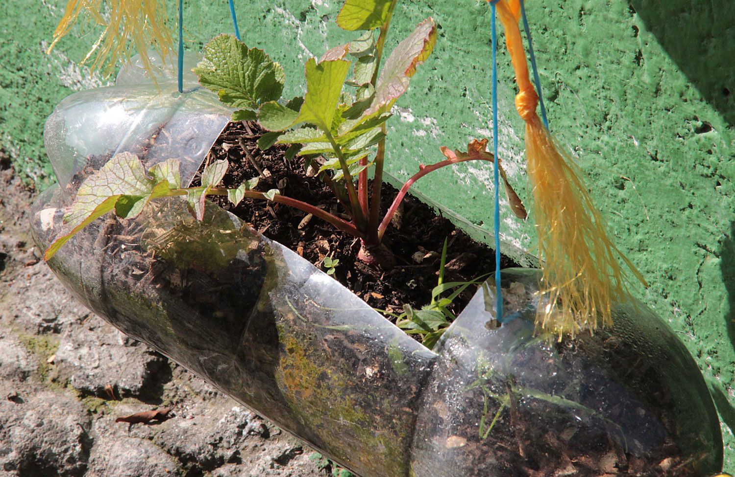 En Toluca se promueve gran variedad de ecotecnias - Aula Mexiquense