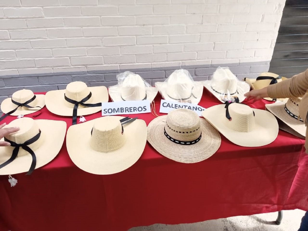 Expone Centro Cultural Edoméx Tejupilco la muestra “Sombreros ...