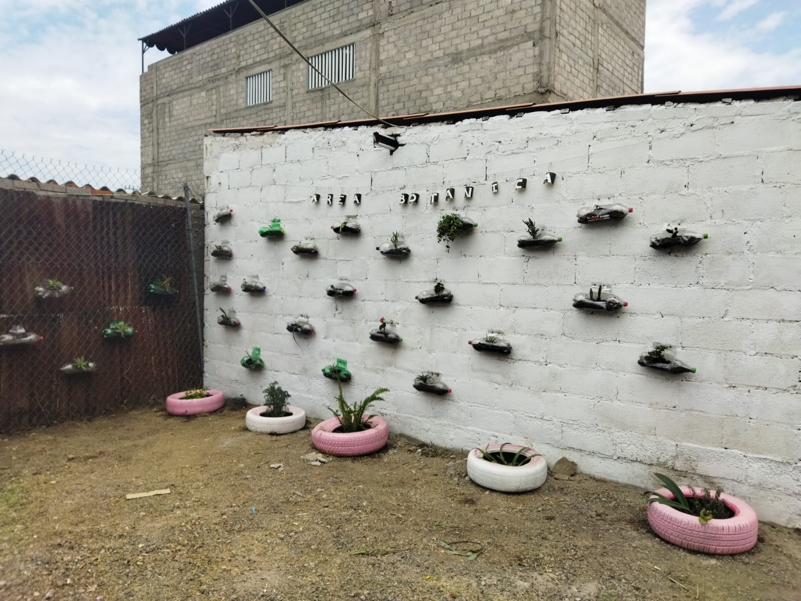 Comunidad escolar impulsa proyecto ecológico en primaria de La Paz ...